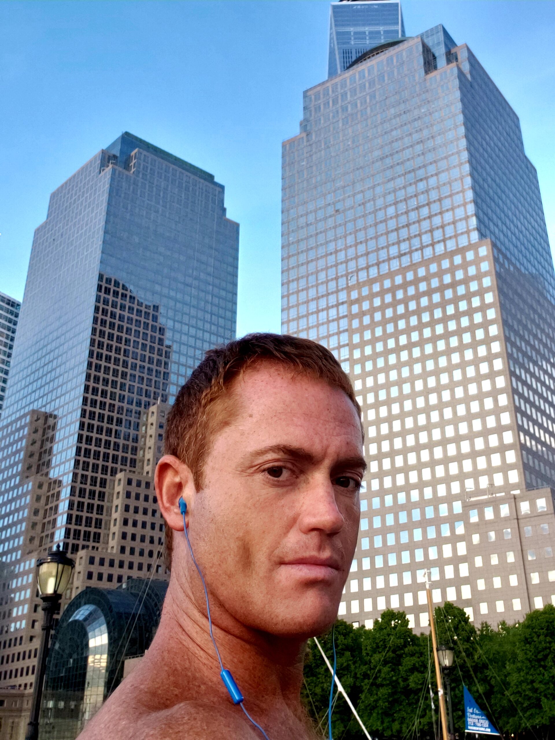 David Baccini – Official WebSite