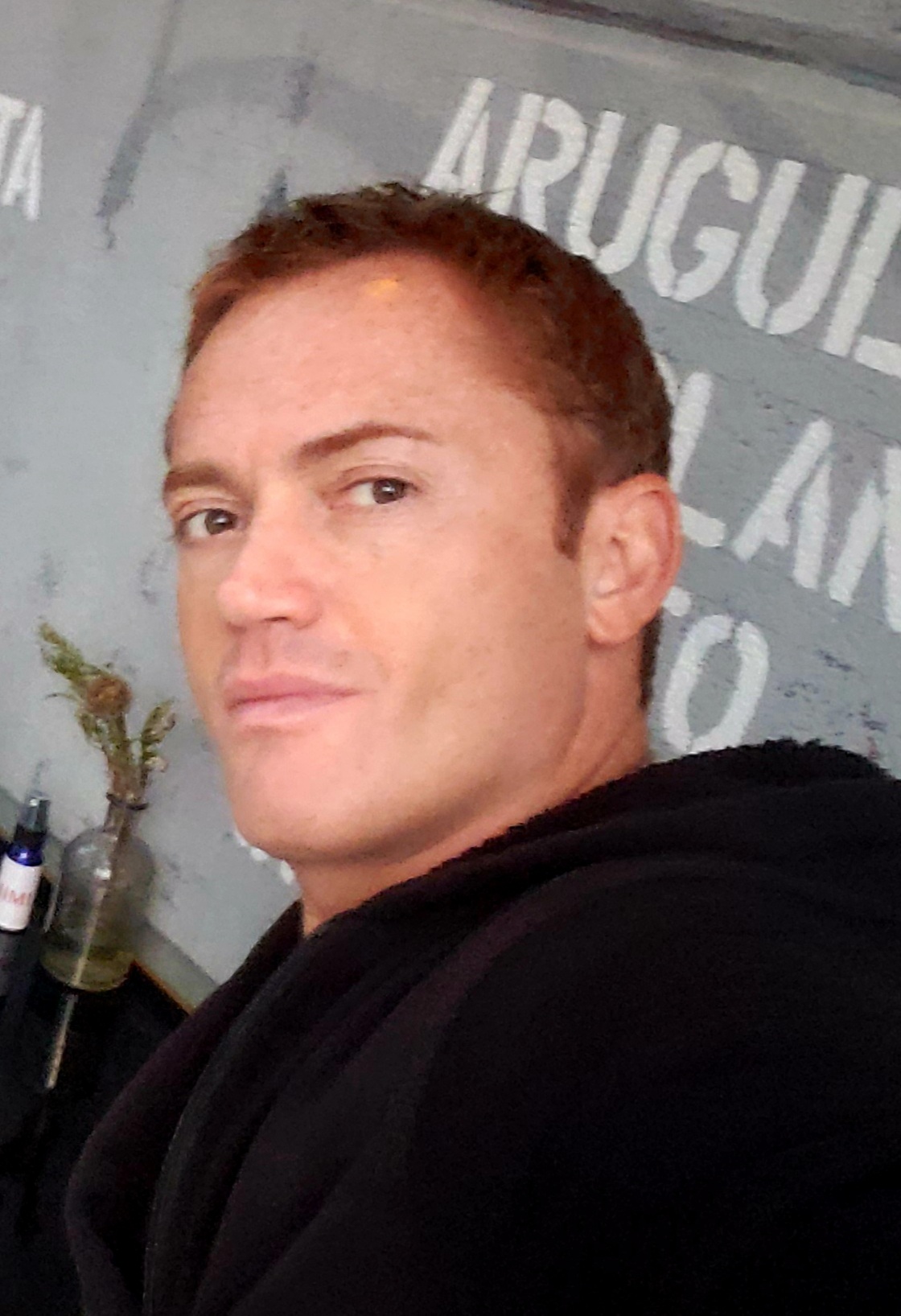 David Baccini – Official WebSite