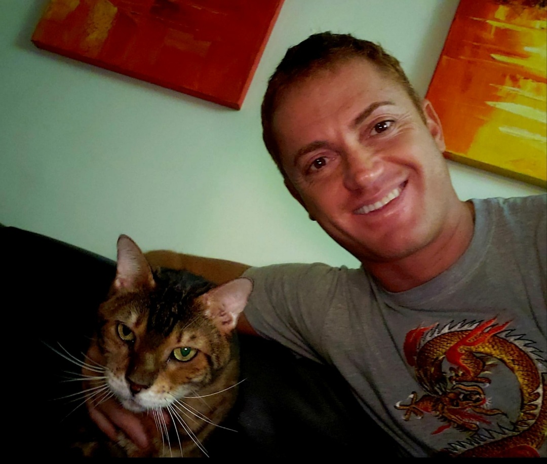 David Baccini – Official WebSite